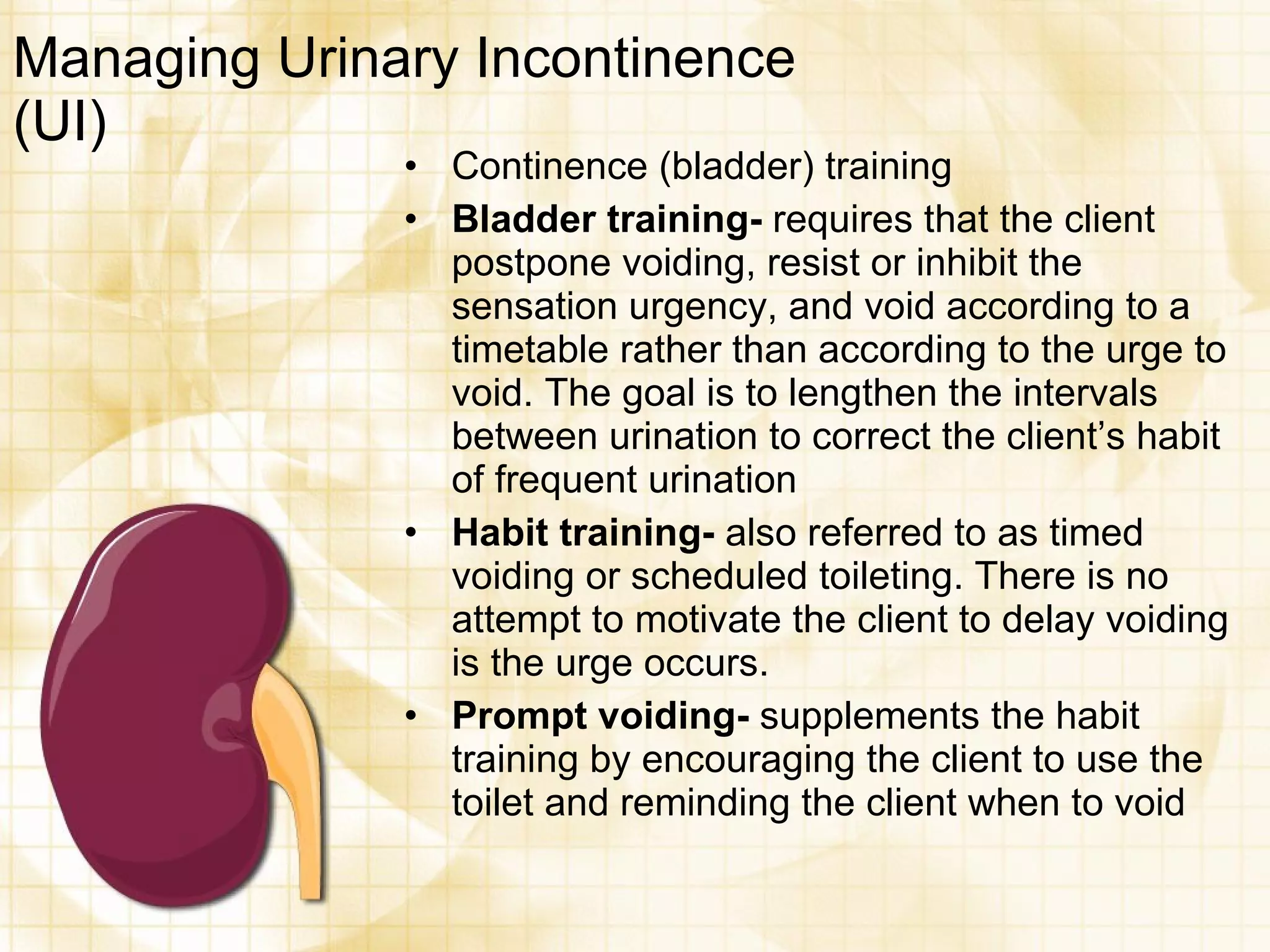 Urinary Elimination | PPT