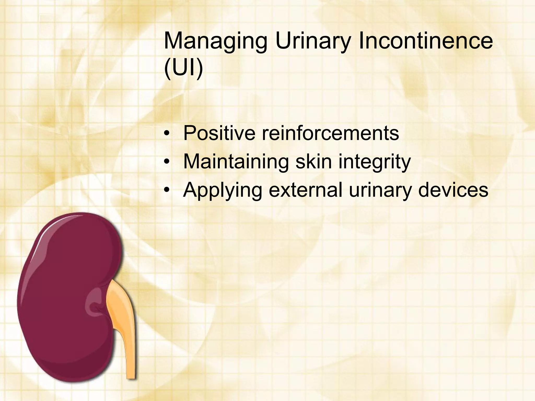 Urinary Elimination | PPT