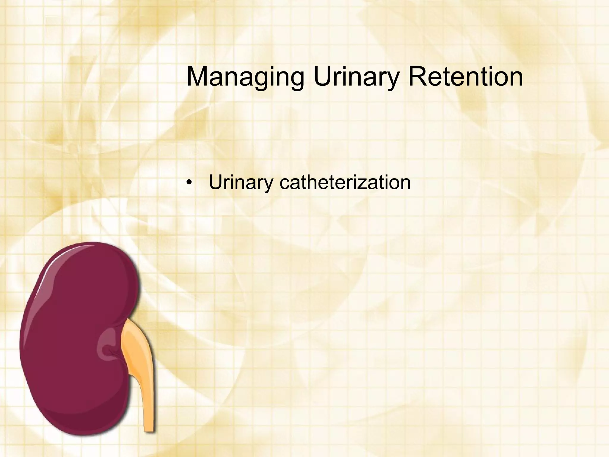 Urinary Elimination | PPT