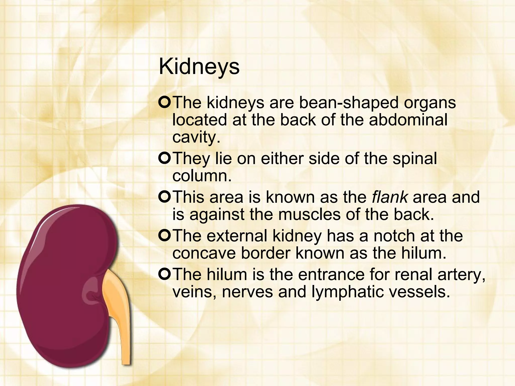 Urinary Elimination | PPT