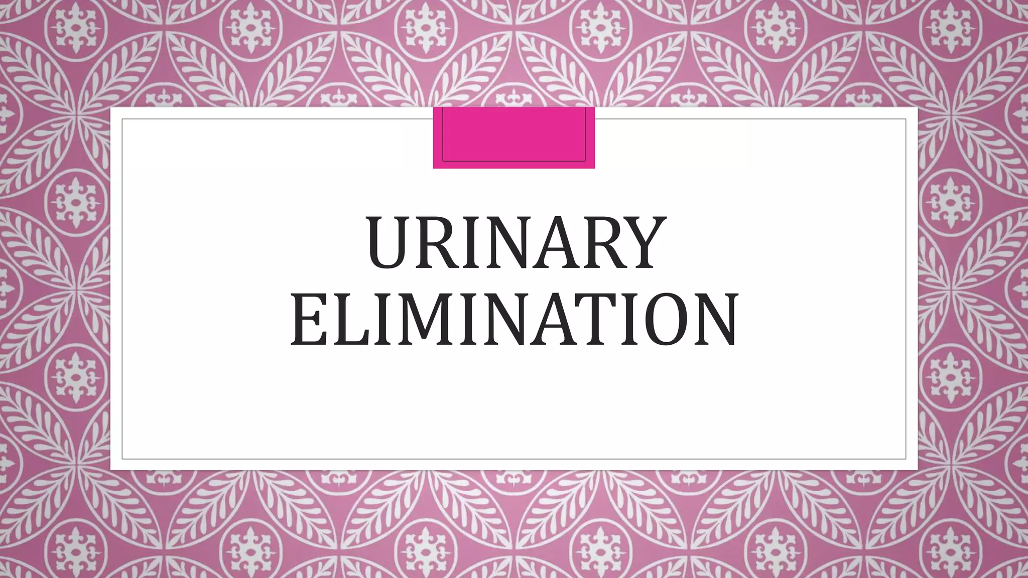 Urinary elimination | PPTX