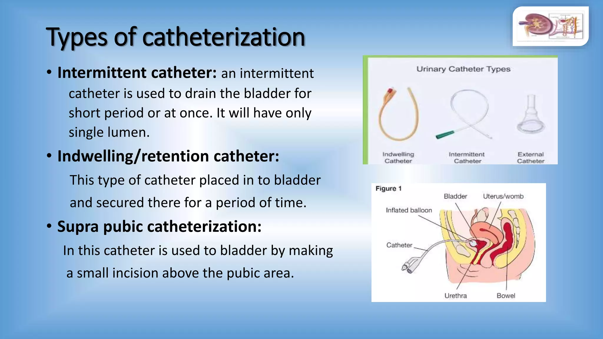 Urinary elimination | PPTX