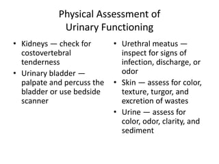 urinary elimination.pptx