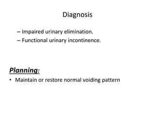 urinary elimination.pptx