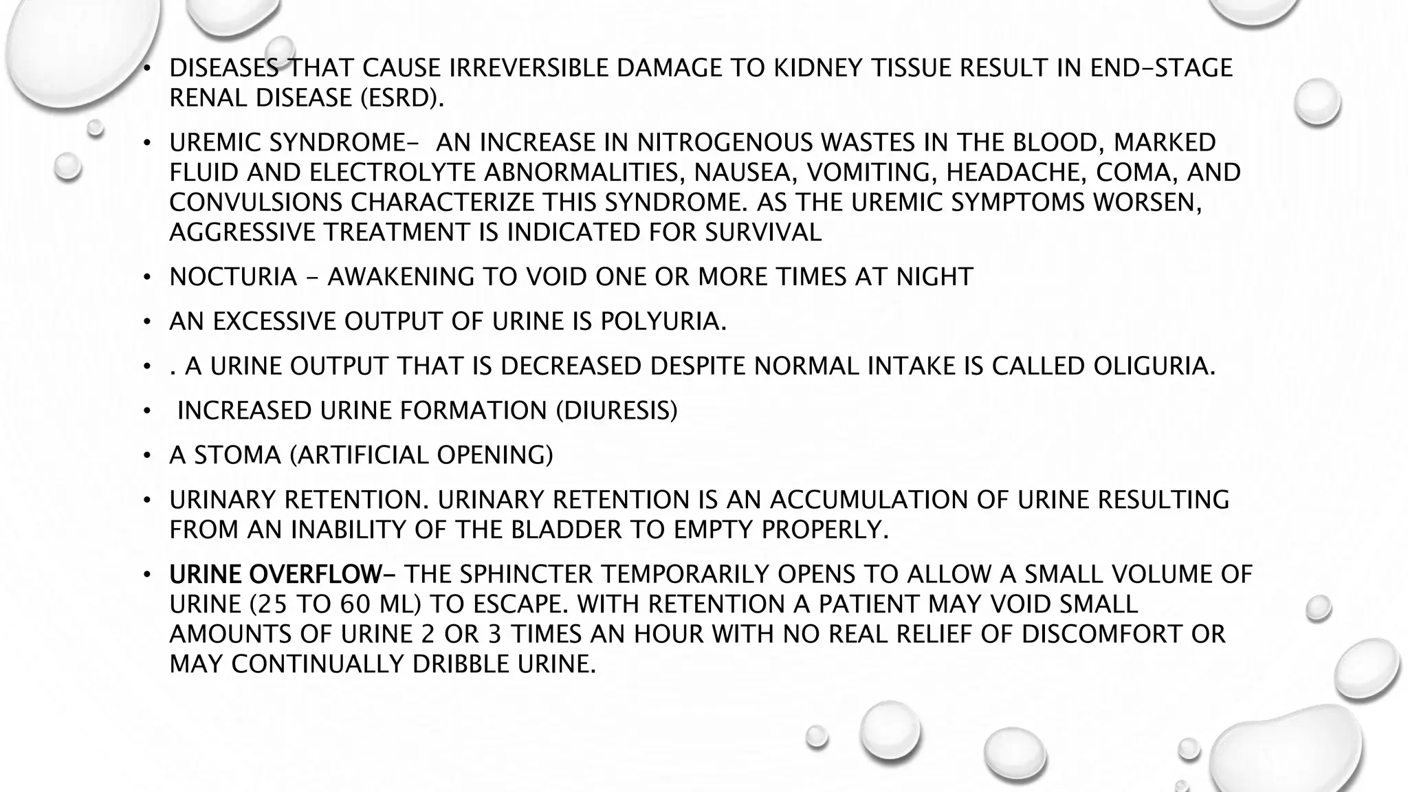 Urinary Elimination BY ANUSHRI SRIVASTAVA.pptx