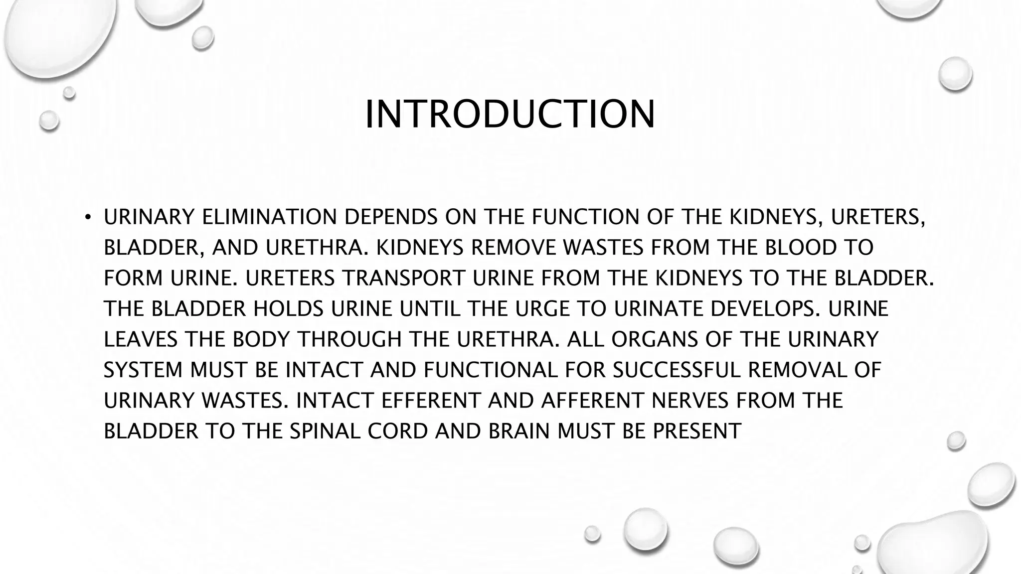 Urinary Elimination BY ANUSHRI SRIVASTAVA.pptx