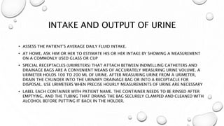 Urinary Elimination BY ANUSHRI SRIVASTAVA.pptx