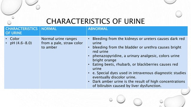 Urinary Elimination BY ANUSHRI SRIVASTAVA.pptx