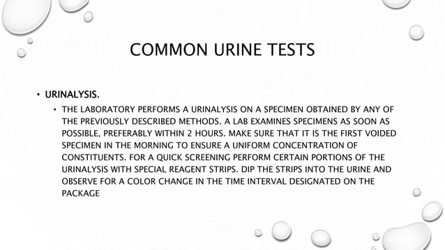 Urinary Elimination BY ANUSHRI SRIVASTAVA.pptx