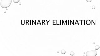Urinary Elimination BY ANUSHRI SRIVASTAVA.pptx