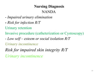 Urinary Elimination نظري for nursing.pptx.pptx
