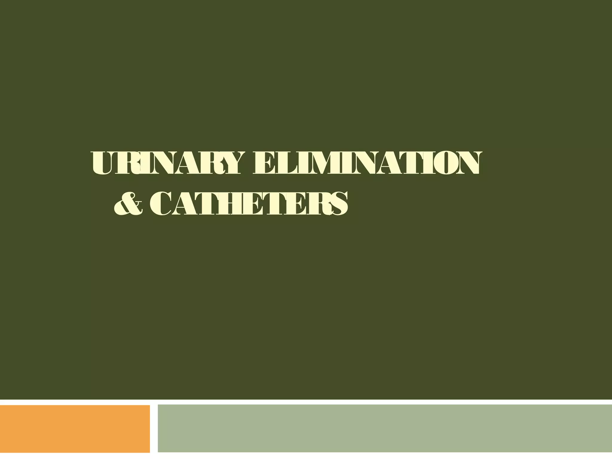 Urinary elimination & Catheters lecture | PPT