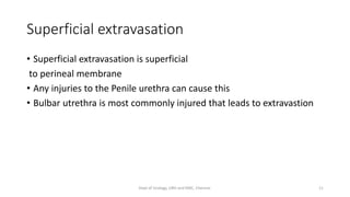 Urinary extravasation | PDF