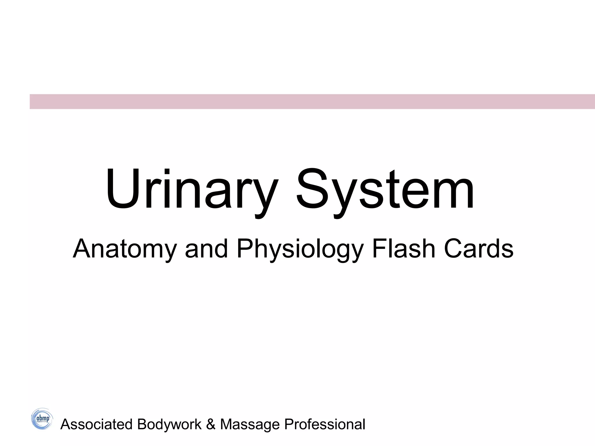 Urinary flash cards | PPT