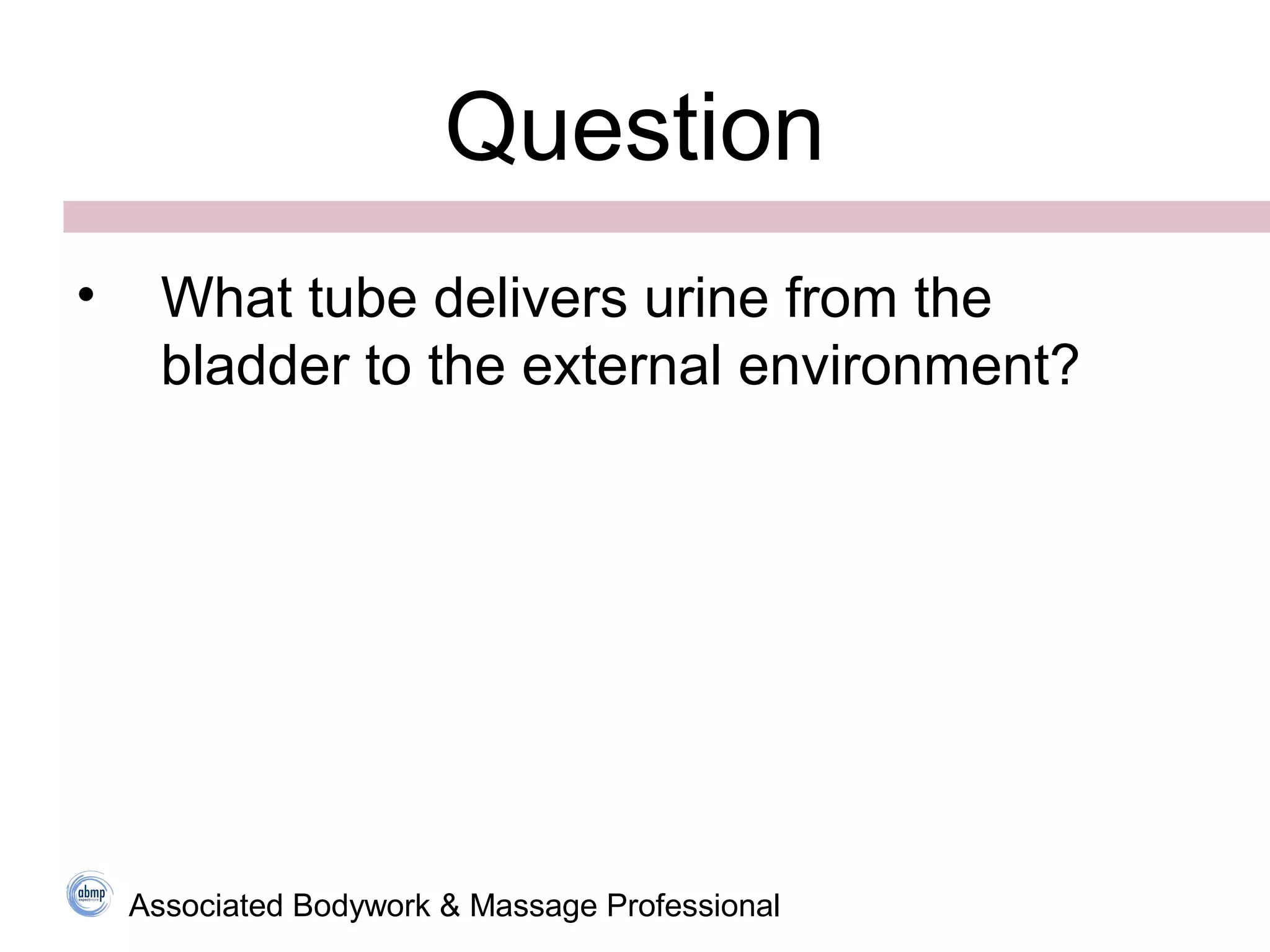 Urinary flash cards | PPT