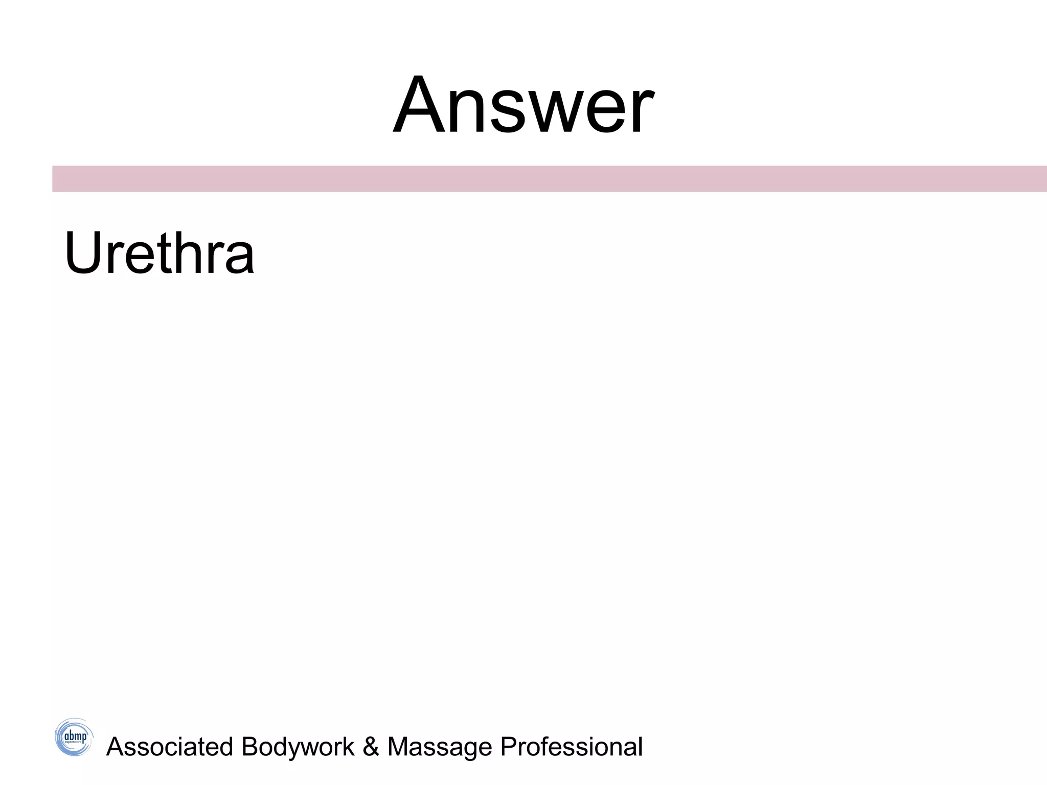 Urinary flash cards | PPT