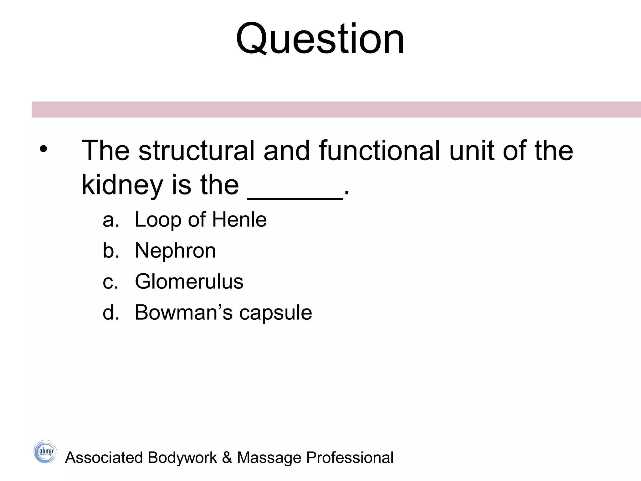 Urinary flash cards | PPT