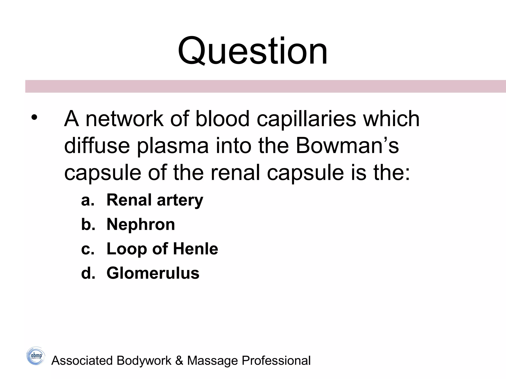 Urinary flash cards | PPT