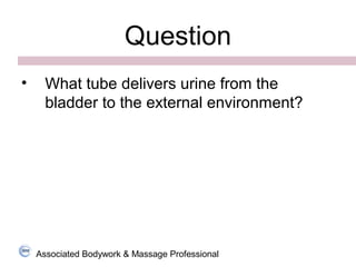 Urinary flash cards | PPT