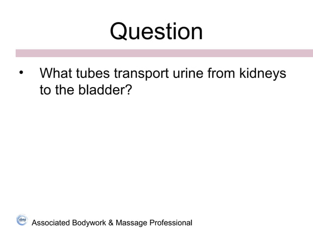Urinary flash cards | PPT