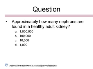 Urinary flash cards | PPT