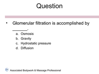 Urinary flash cards | PPT