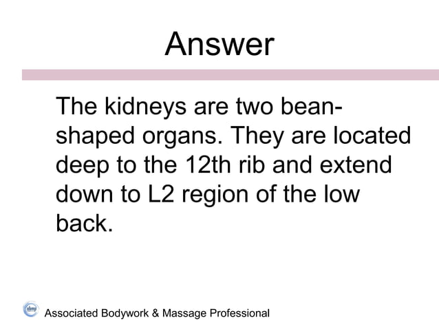 Urinary flash cards | PPT