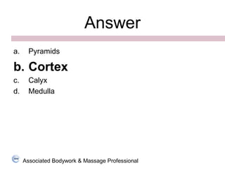 Urinary flash cards | PPT