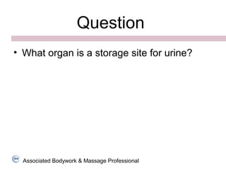 Urinary flash cards | PPT
