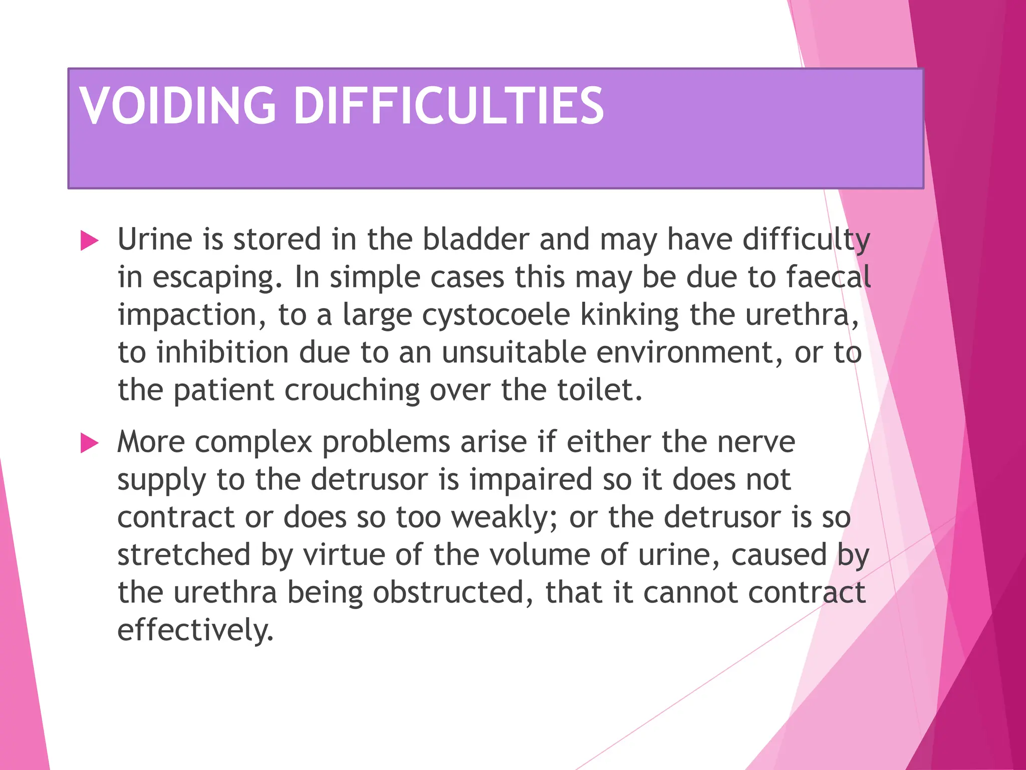 Urinary Function and Dysfunction For a Subject Gerontology and ...