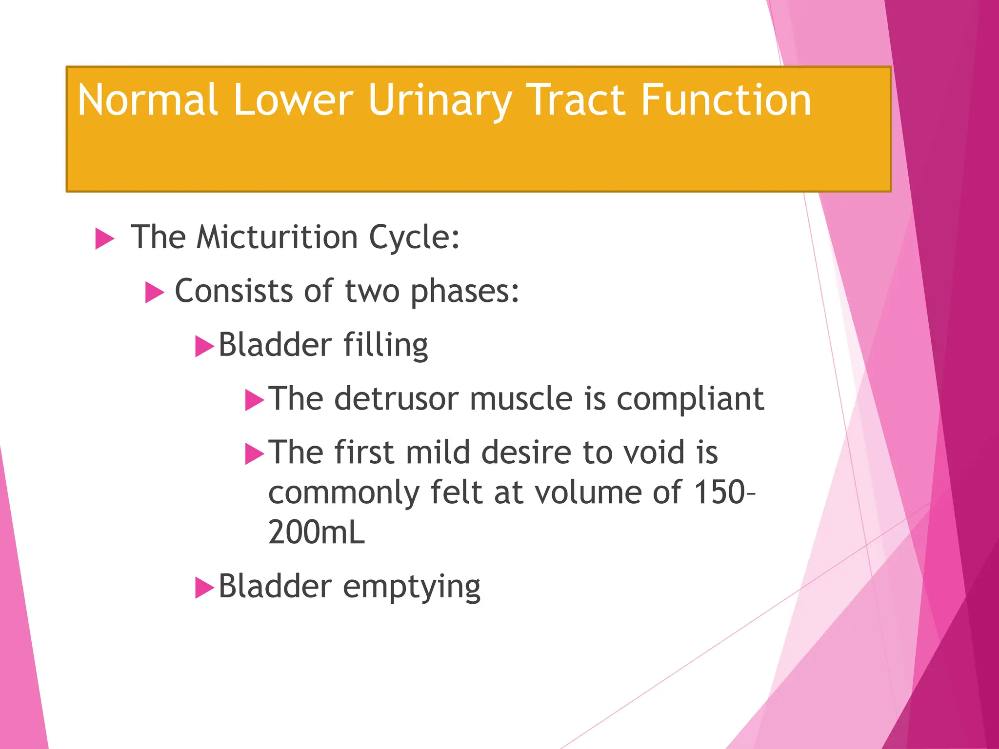 Urinary Function and Dysfunction For a Subject Gerontology and ...