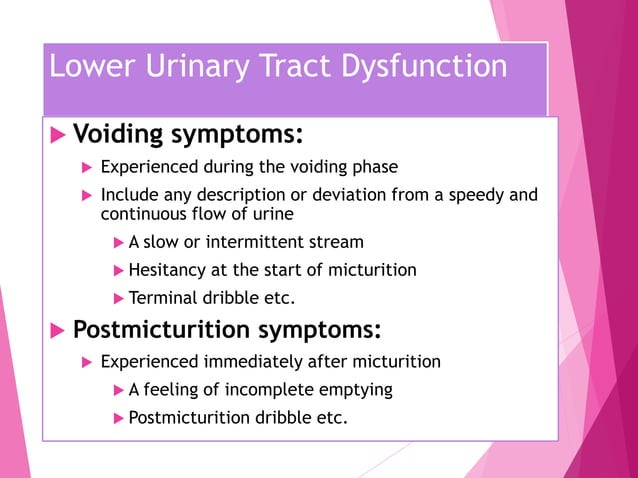 Urinary Function and Dysfunction For a Subject Gerontology and ...