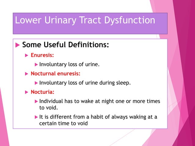 Urinary Function and Dysfunction For a Subject Gerontology and ...