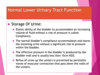 Urinary Function and Dysfunction For a Subject Gerontology and ...