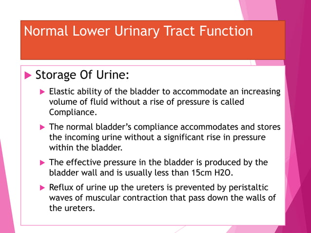 Urinary Function and Dysfunction For a Subject Gerontology and ...