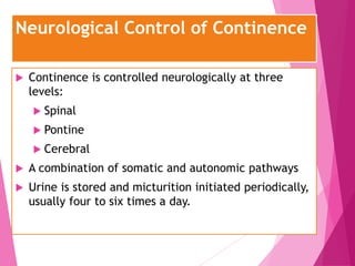 Urinary Function and Dysfunction For a Subject Gerontology and ...