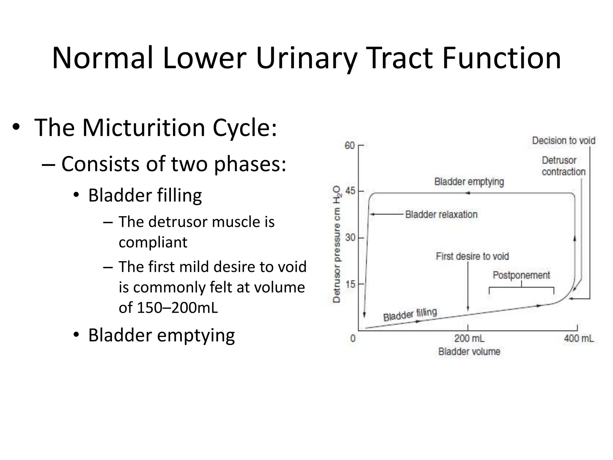 Urinary bowel Function & Dysfunction.pptx