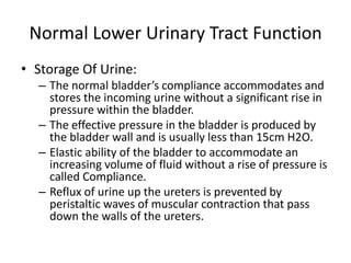 Urinary bowel Function & Dysfunction.pptx