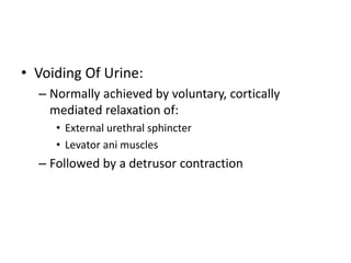 Urinary bowel Function & Dysfunction.pptx