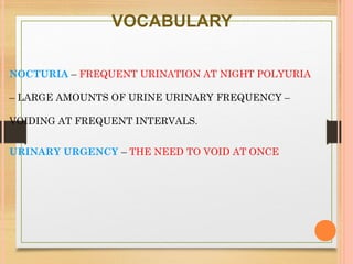 Urinary HOSPITAL EDU CHITTORFARG 345G.pptx
