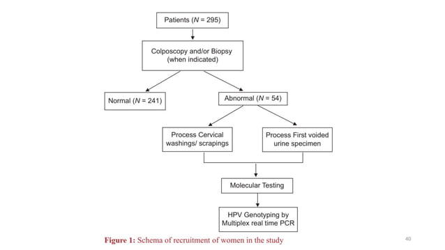 Urinary High risk Human papilloma virus MP-AGOICON.PPTX