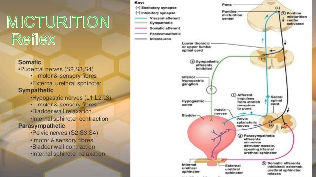 Urinary incontinence