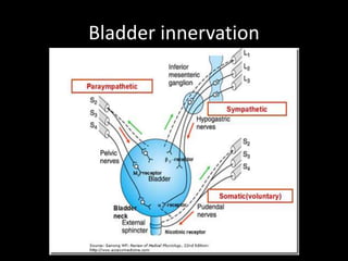 Urinary incontinence | PPTX