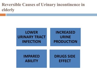 urinary incontinence and its complications.pptx