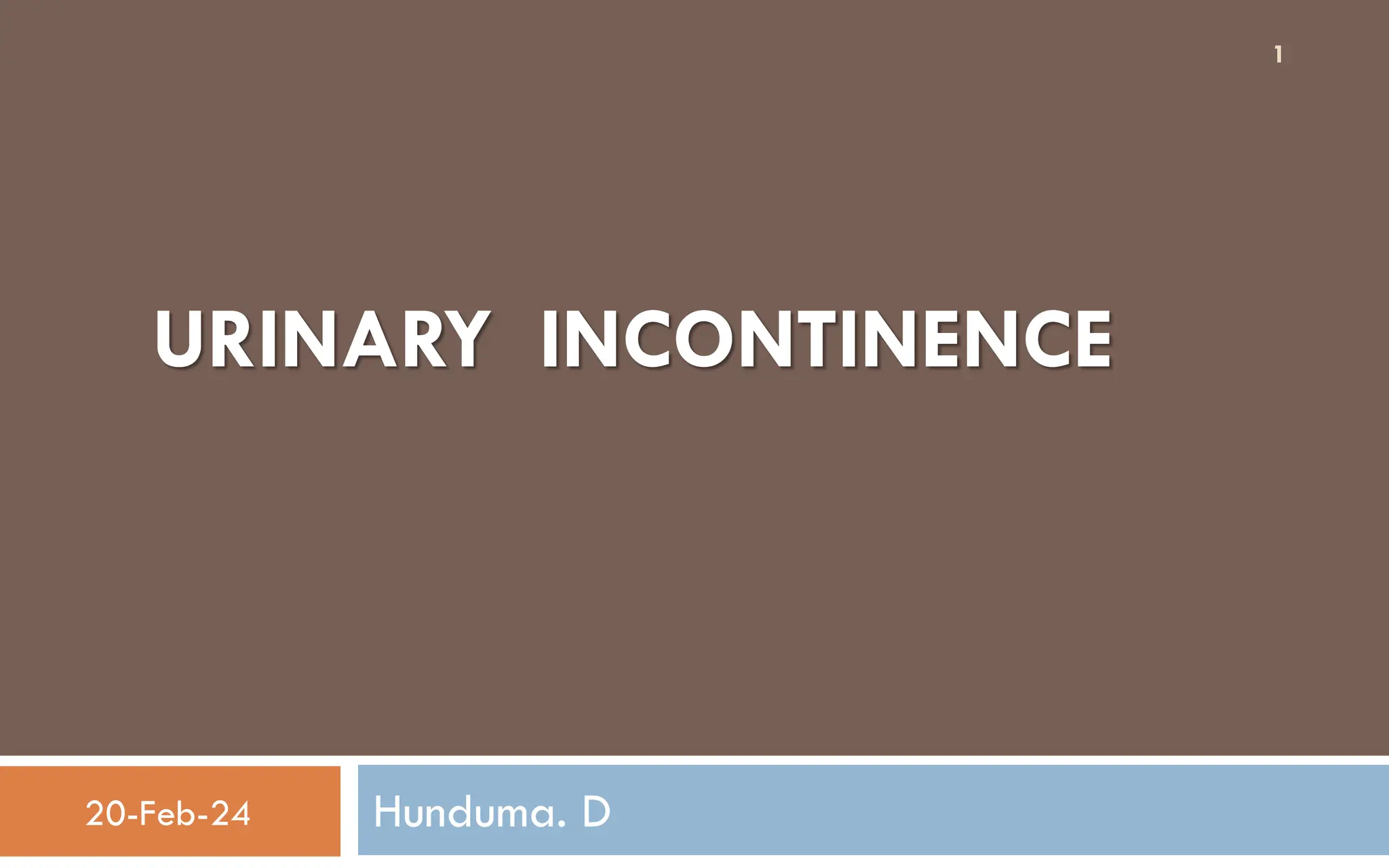 Urinary Incontinence Team training woleg | PDF
