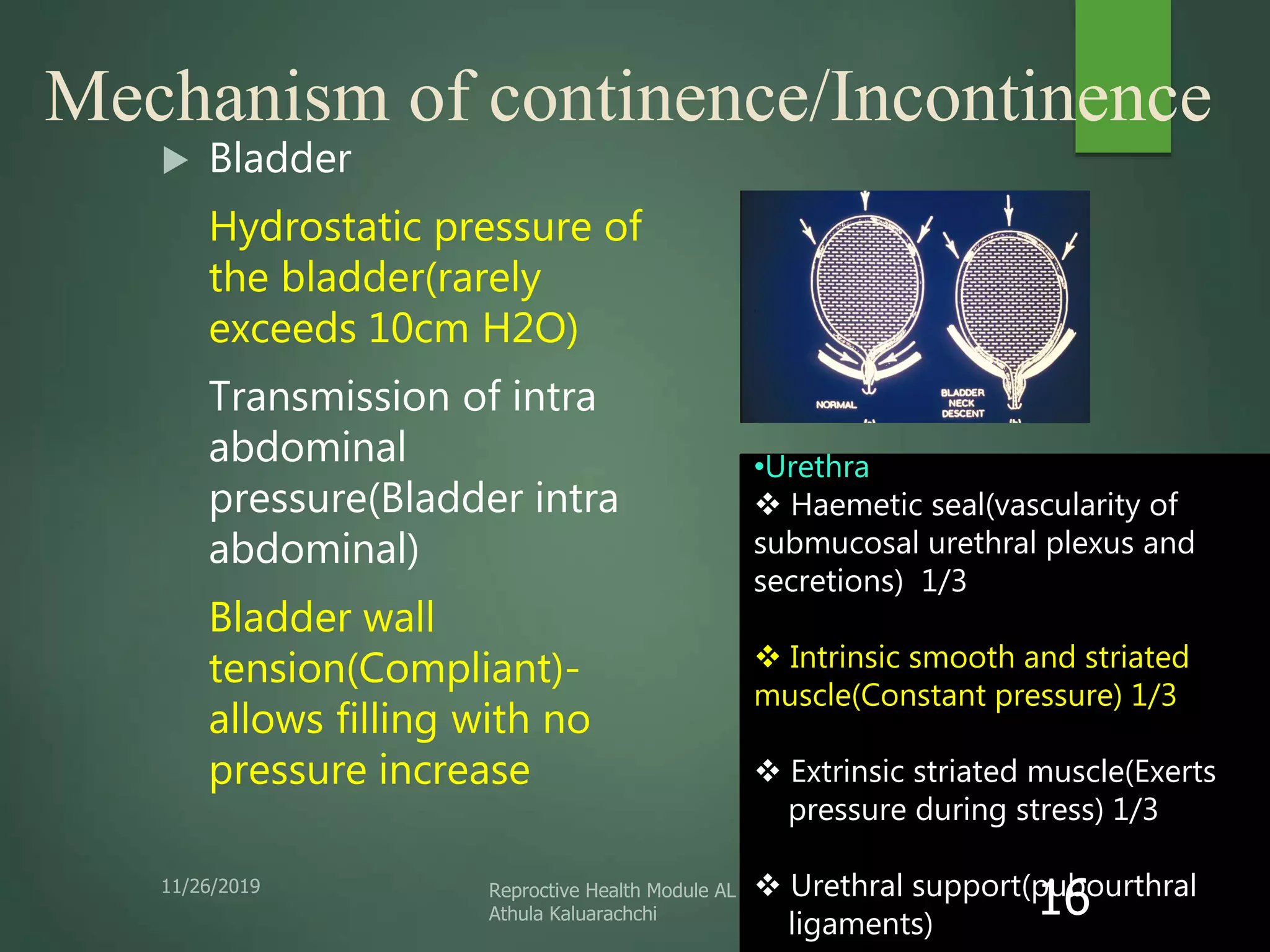 Urinary Incontinence in Females | PPTX