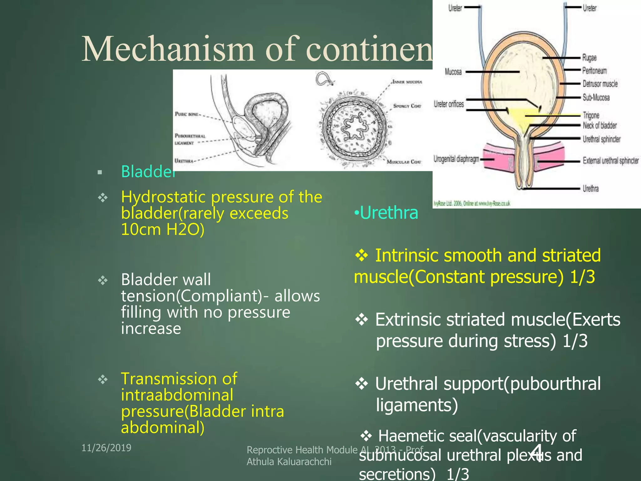 Urinary Incontinence in Females | PPTX