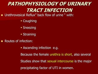 Inflammatory urinary disorders | PPT