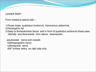 Urinary System lecture | PPT