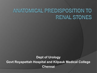 Urolithiasis :anatomical predisposition | PPT
